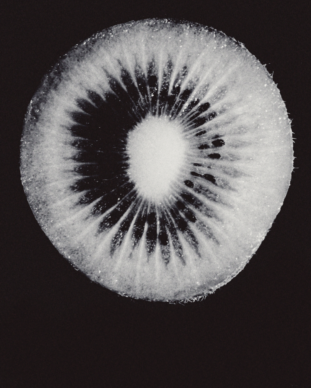 VICTOR BRUN © Selected Work